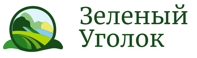 Зеленый уголок